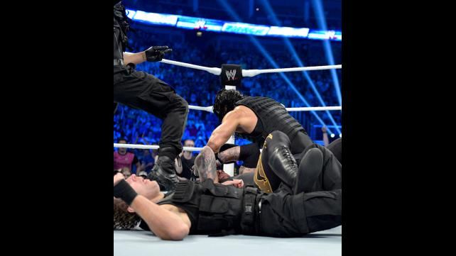 Wwe The Brothers Of Destruction Page 8